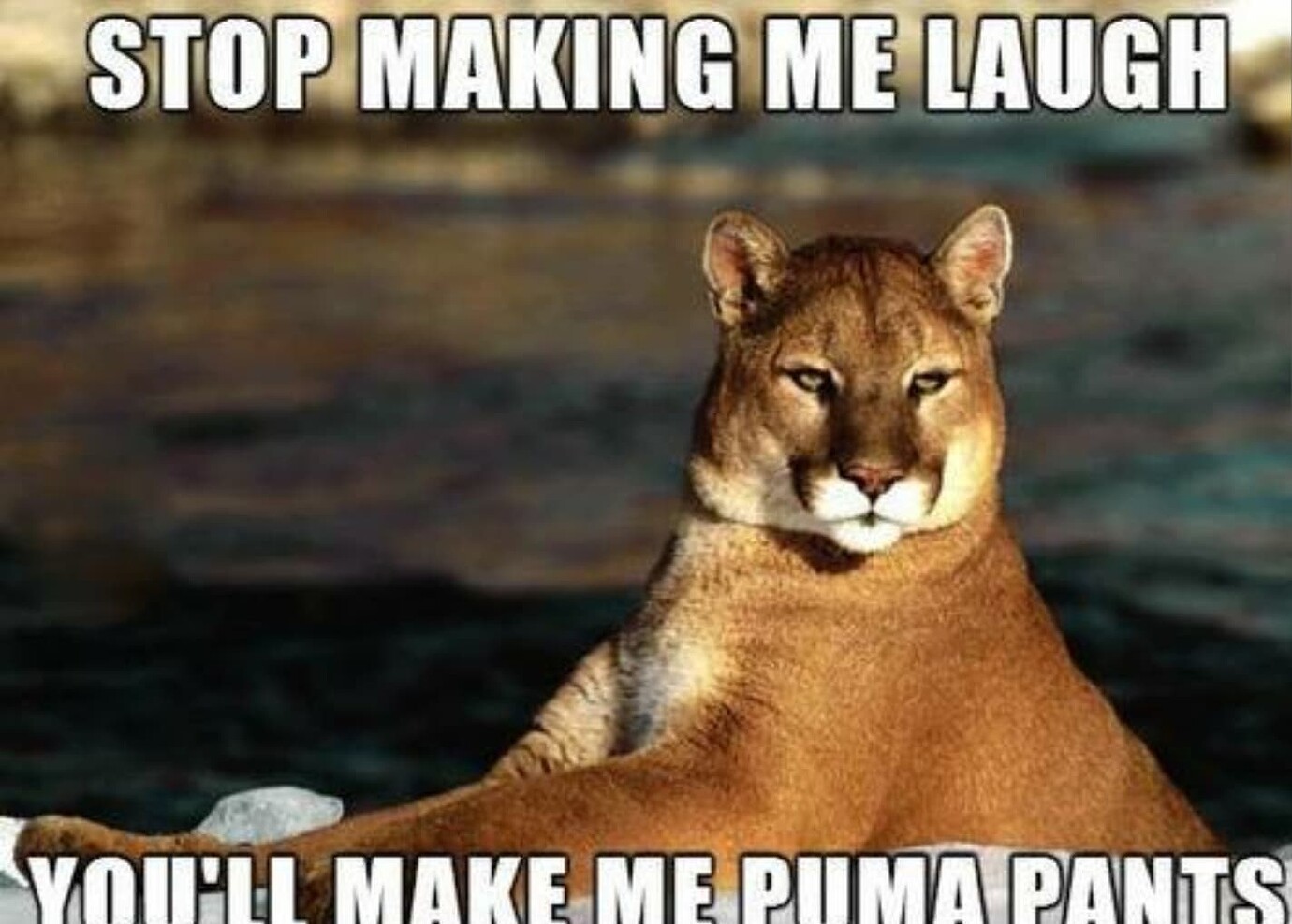 Fabrication Memes - #348 by Bigdaddy2166 - Langmuir Systems Forum